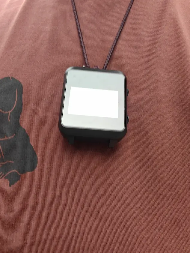 你的下一个 Meshtastic 设备，可能戴在手腕上——GAT562 Mesh Watch 上手体验 | MeshCN ...